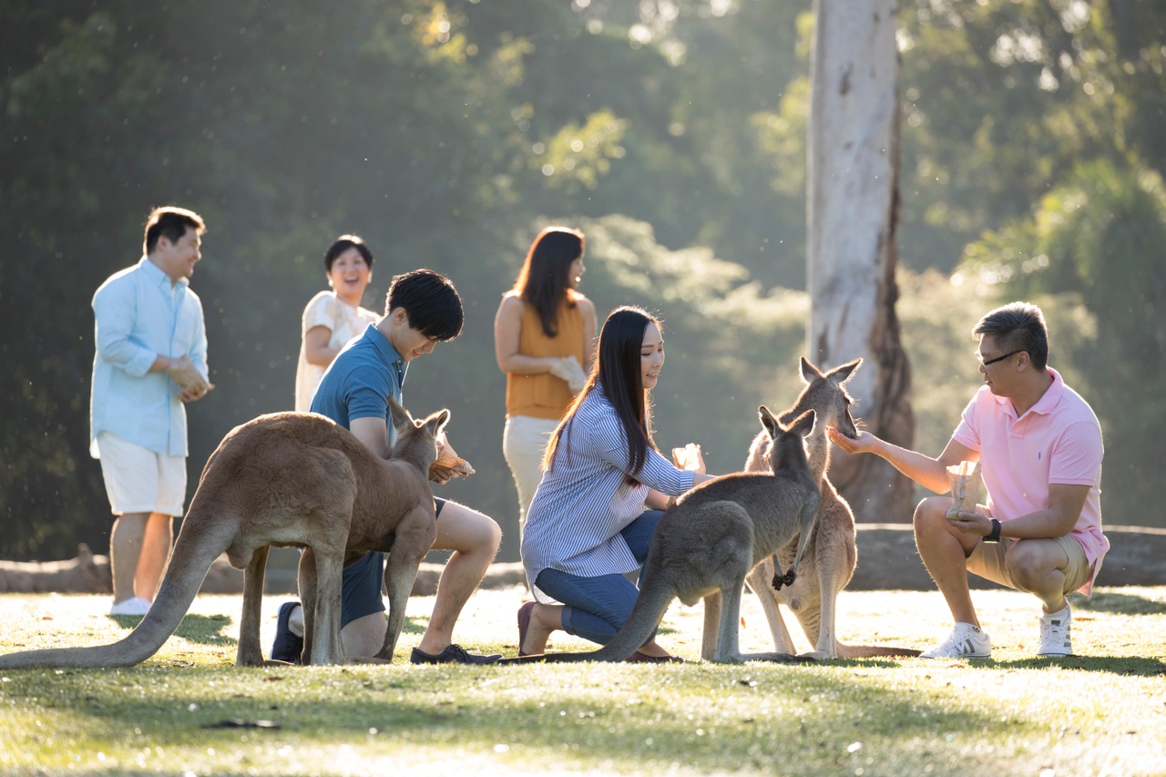 Animals and wildlife - Visit Brisbane