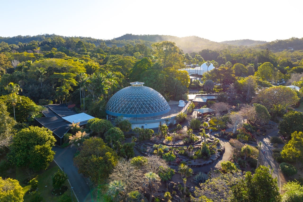 Things to do at Mount Coot-Tha