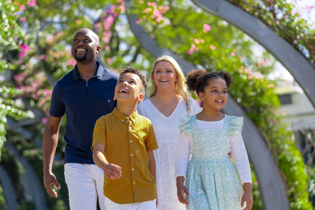 Free things to do with kids in Brisbane