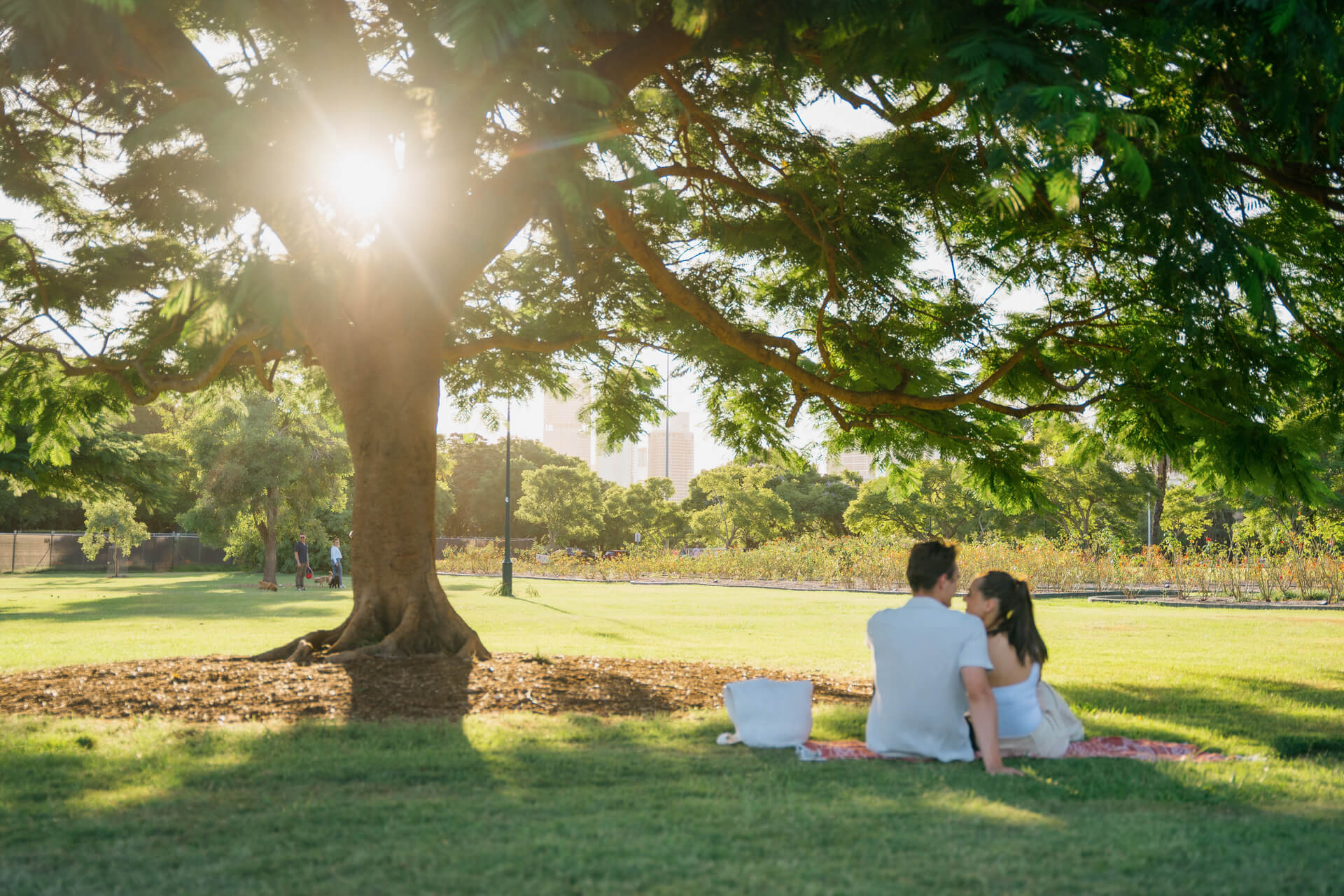 Explore New Farm, Newstead & Teneriffe in inner city Brisbane | Visit ...