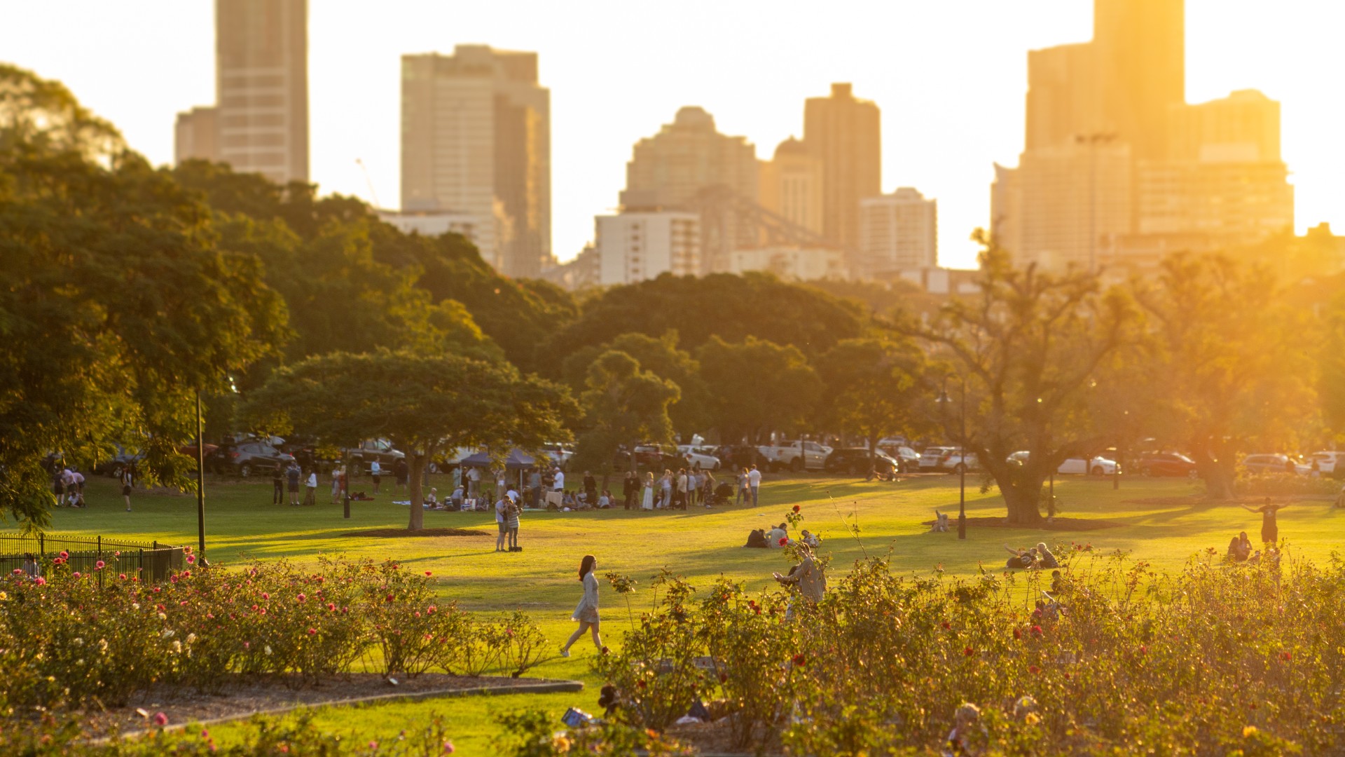Things to do this winter in Brisbane