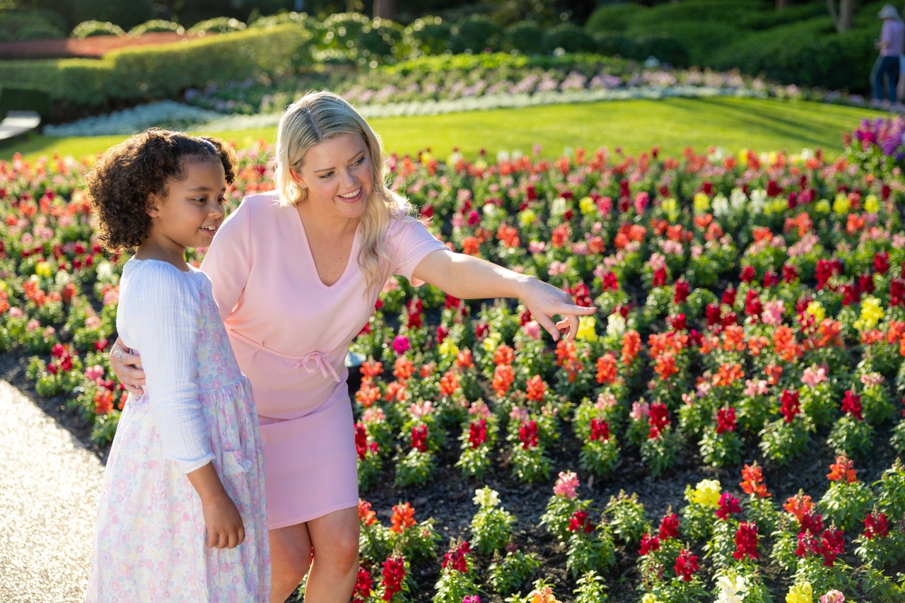 Free things to do in Brisbane | Visit Brisbane, Australia