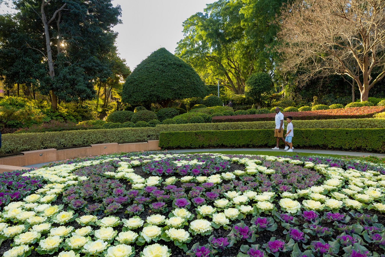 Brisbane's Must Do Parks, Playgrounds and Picnic Spots - Visit Brisbane