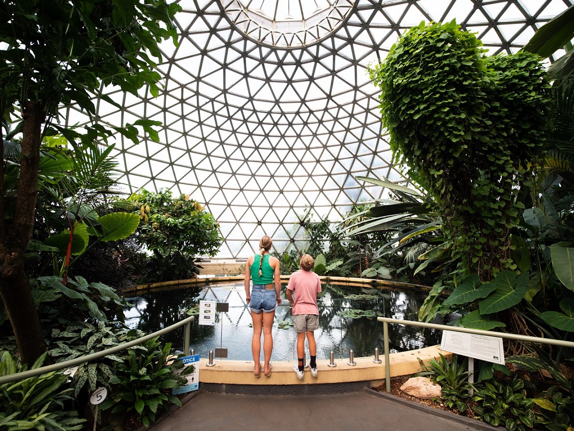 Epic things to do at Mt Coot-tha