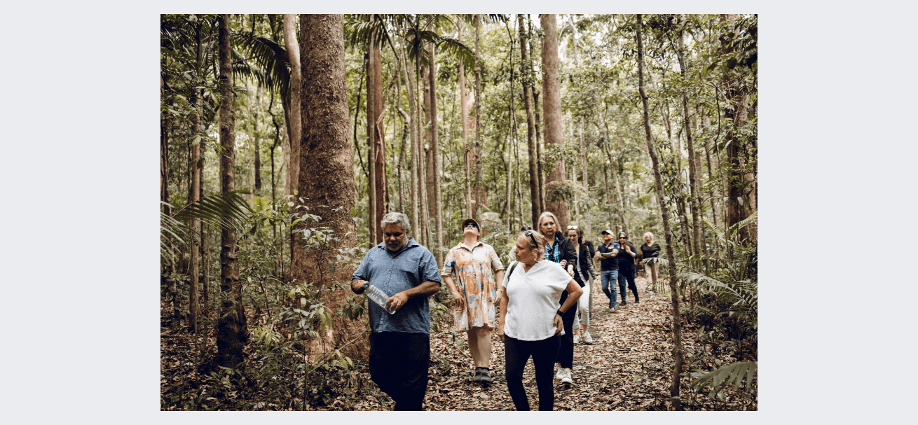 Discover Traditional Indigenous Experiences in Brisbane