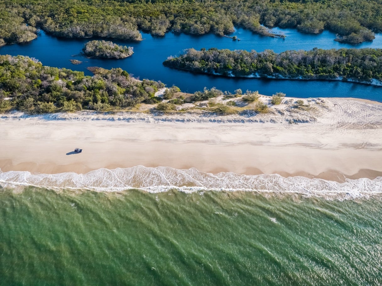 Animals and wildlife - Visit Brisbane