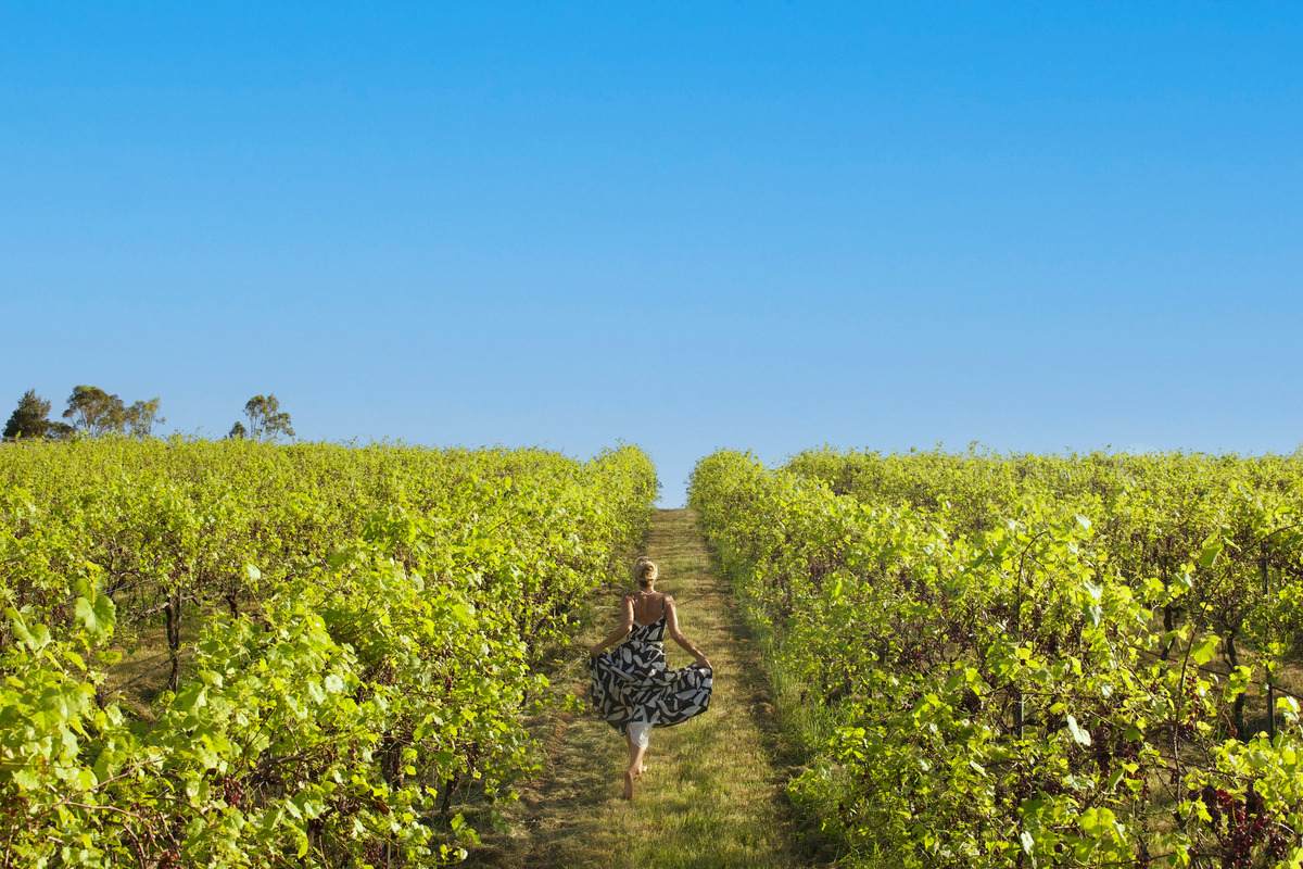 Discover the diverse wonders of Moreton Bay Region