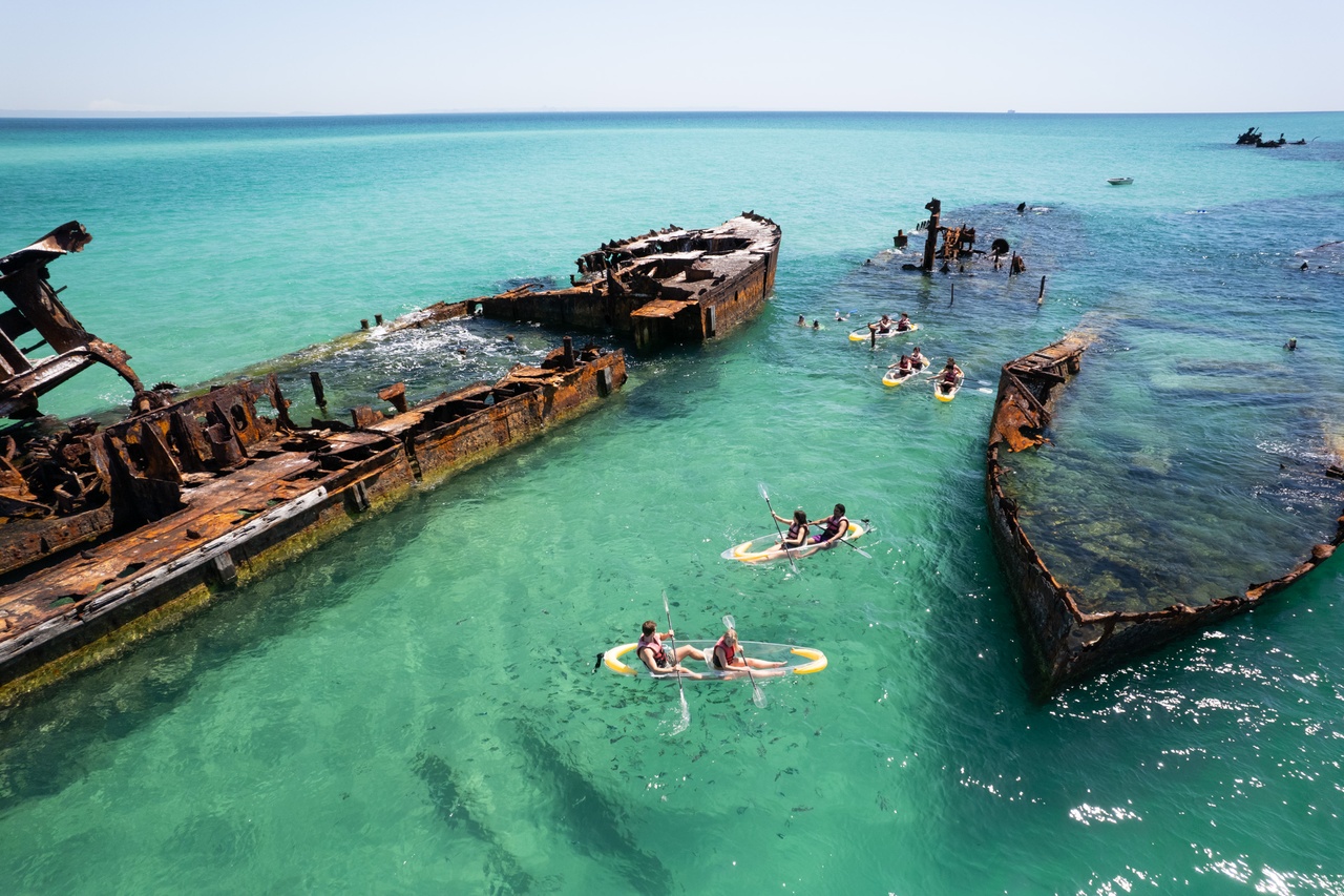 Tangalooma day trip