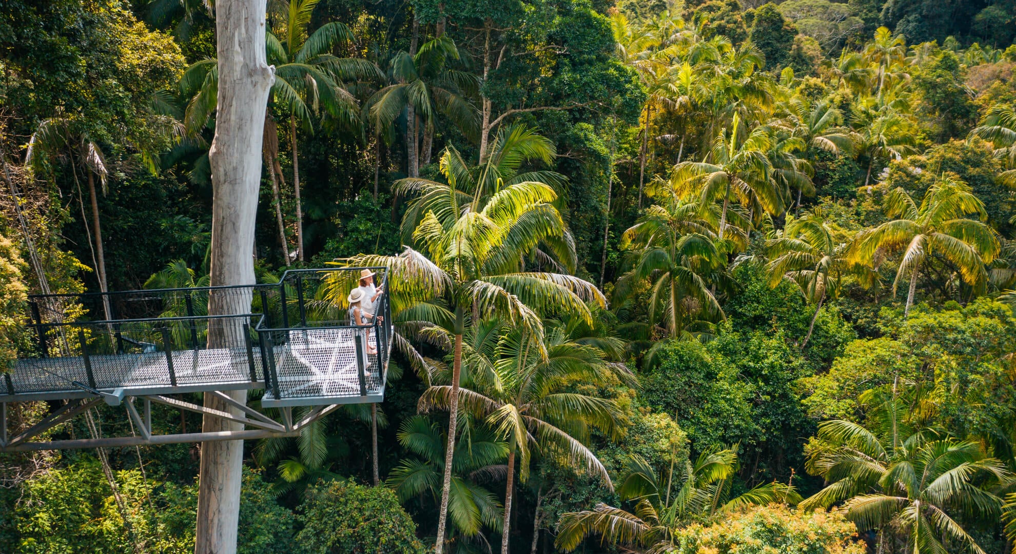 Things to do on Tamborine Mountain