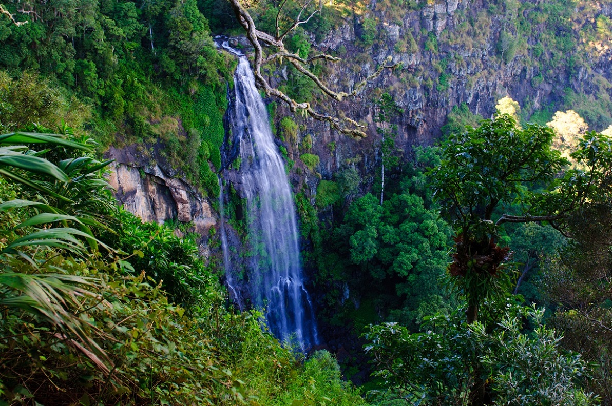 Discover the Most Beautiful Waterfalls in the Scenic Rim - Visit Brisbane