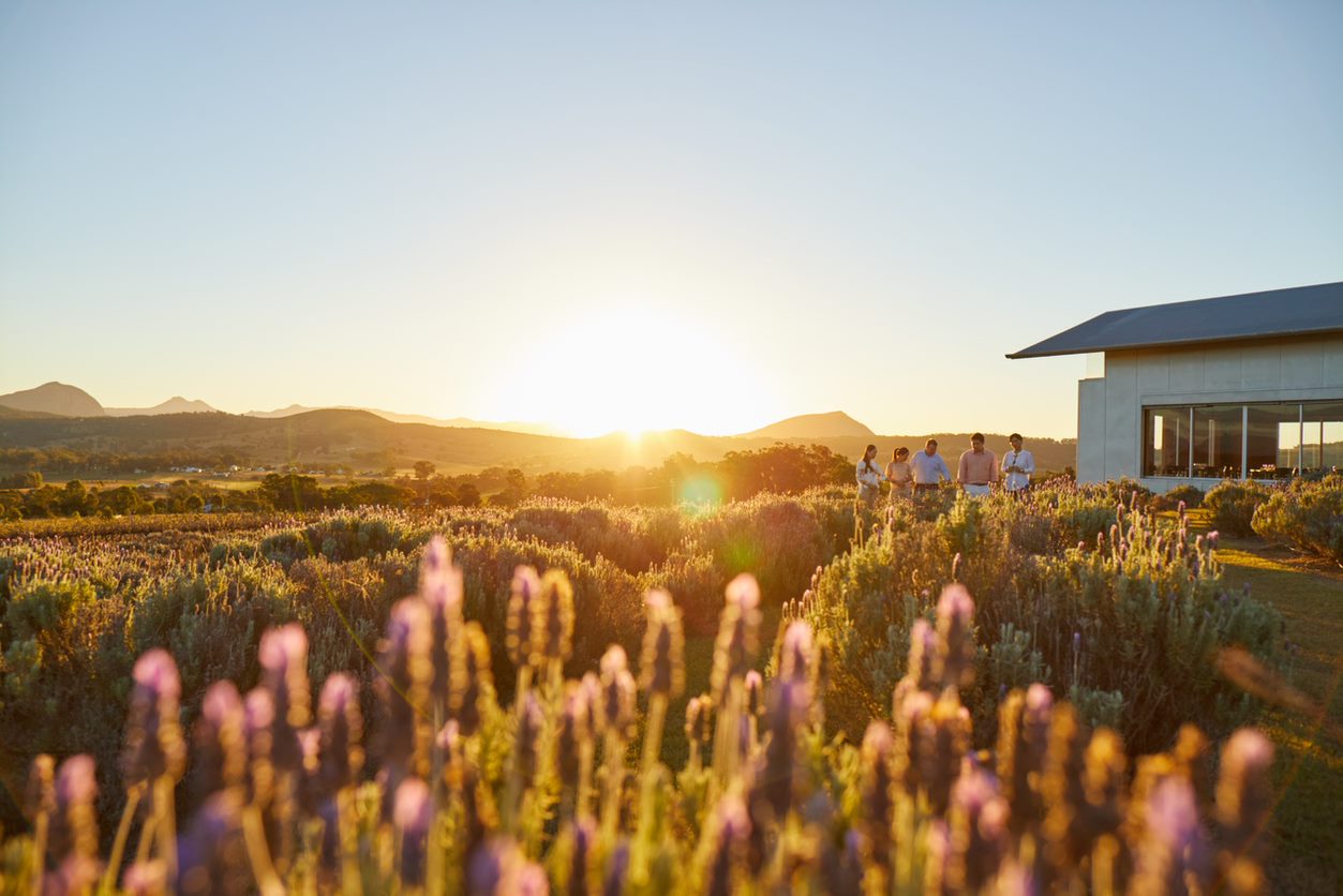 Must do wineries and breweries in the Scenic Rim