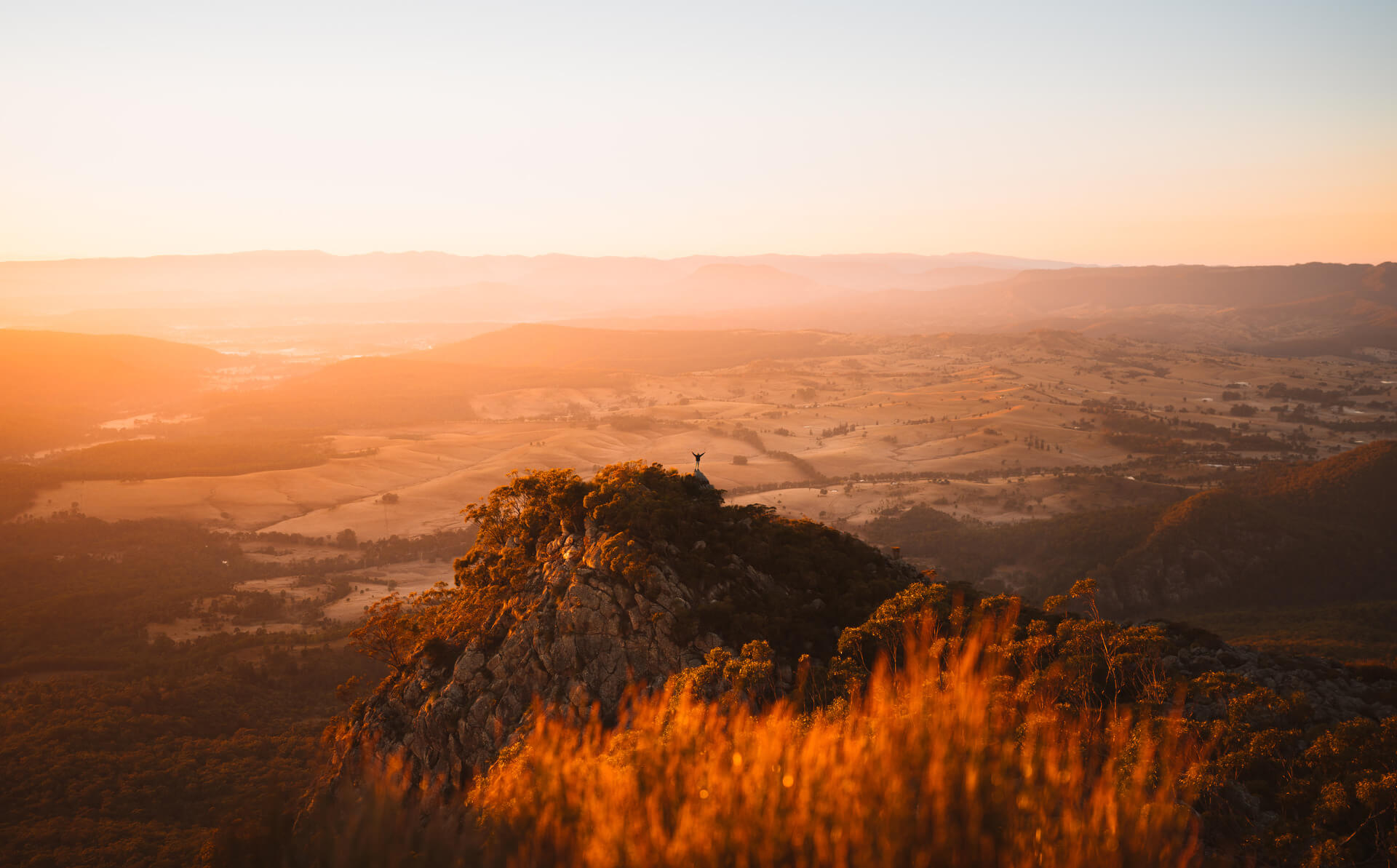 Beaches to Rainforest: Beyond Brisbane City