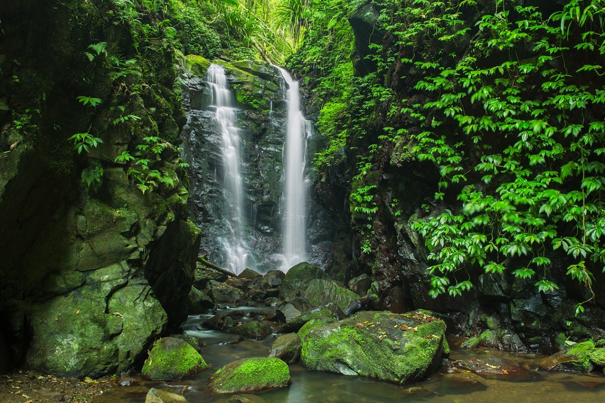 Discover the Most Beautiful Waterfalls in the Scenic Rim - Visit Brisbane