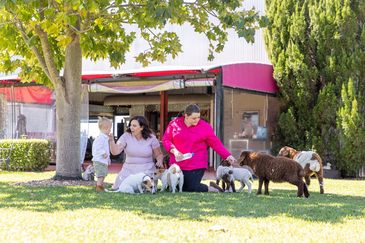 The Scenic Rim has something for everyone: Discover Nature, Culture and ...