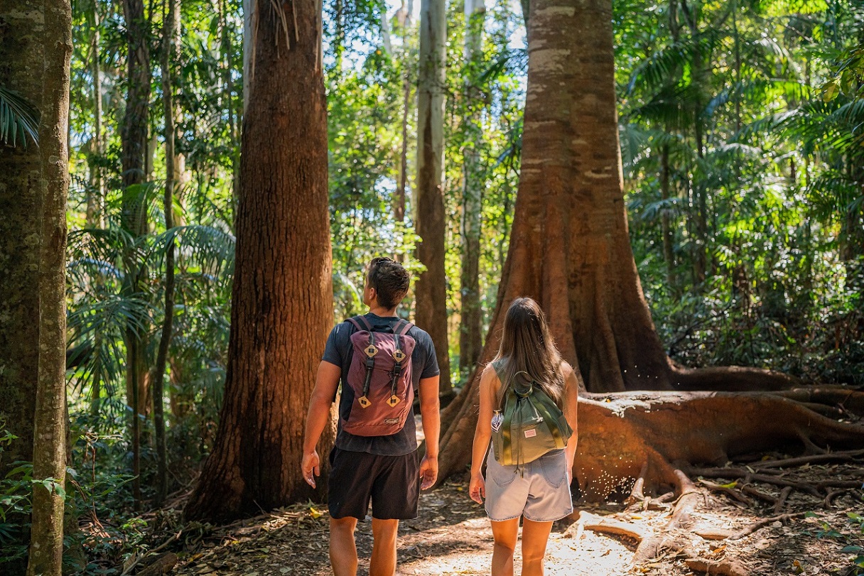 Experience Nature | Visit Brisbane, Australia